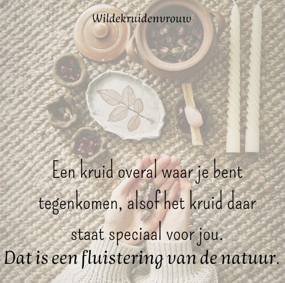 Wanneer een kruid je roept. - De kracht van wilde kruiden en planten